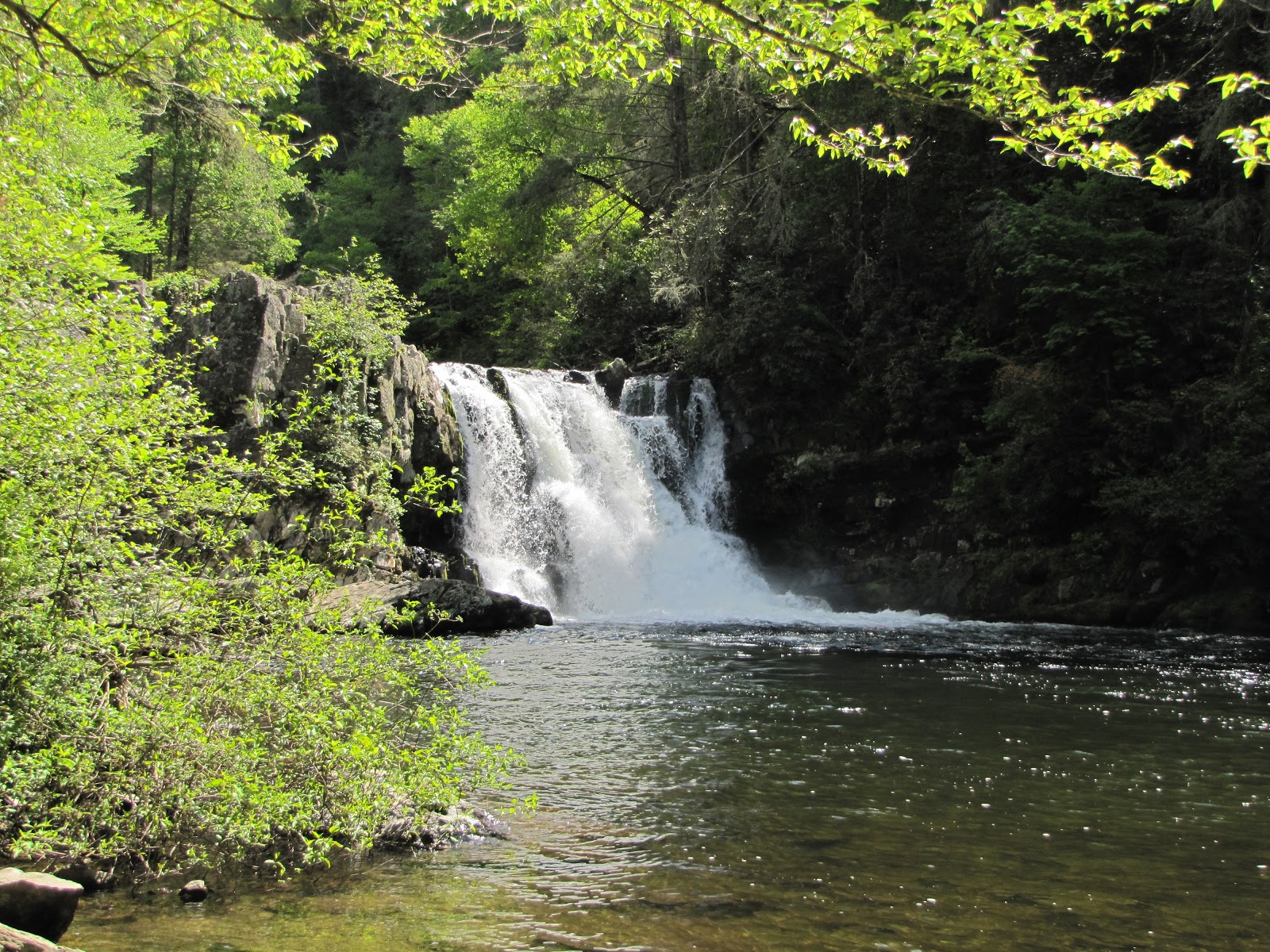 To Behold the Beauty: Smokies, April 2012...Cades Cove