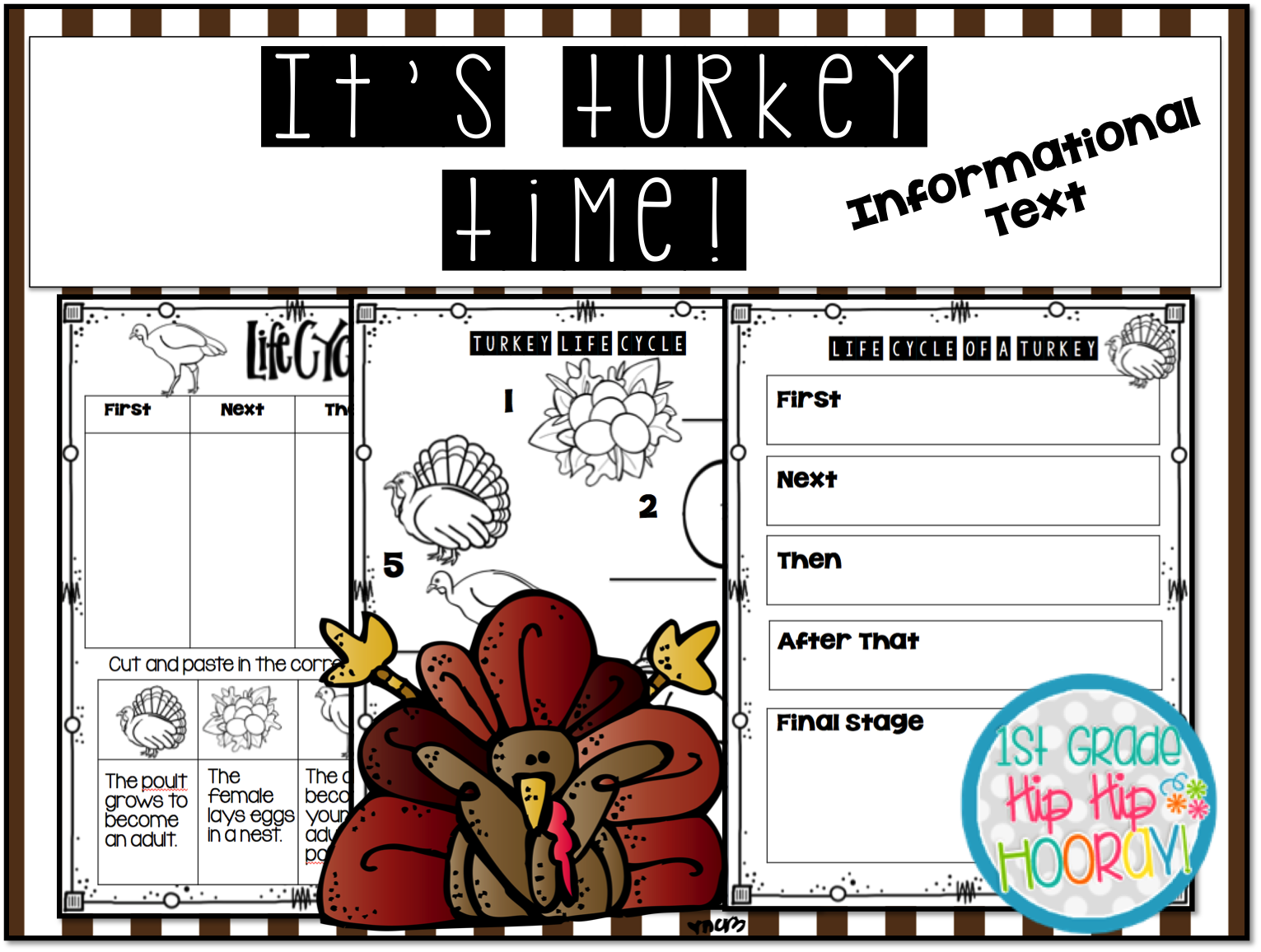 1st Grade Hip Hip Hooray!: It's Turkey Time So ... Let's Talk Turkey!