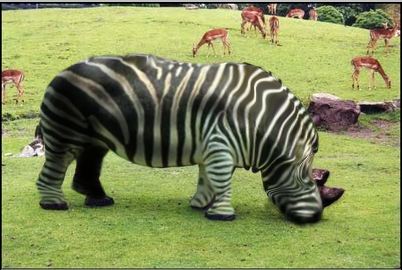 Savage Buff#44: Rhino-Zebra FINISHED