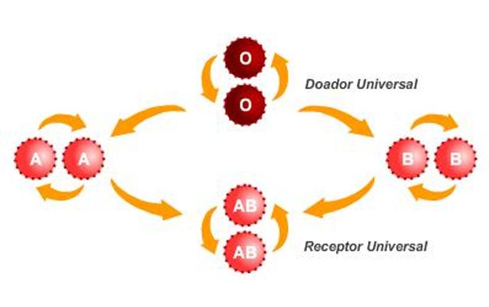 Dividindo ciência: SAÚDE: DOE SANGUE!