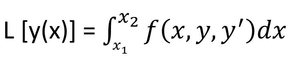 Math Your World: Euler-Lagrange Equation Math Your World: Euler-Lagrange Equation