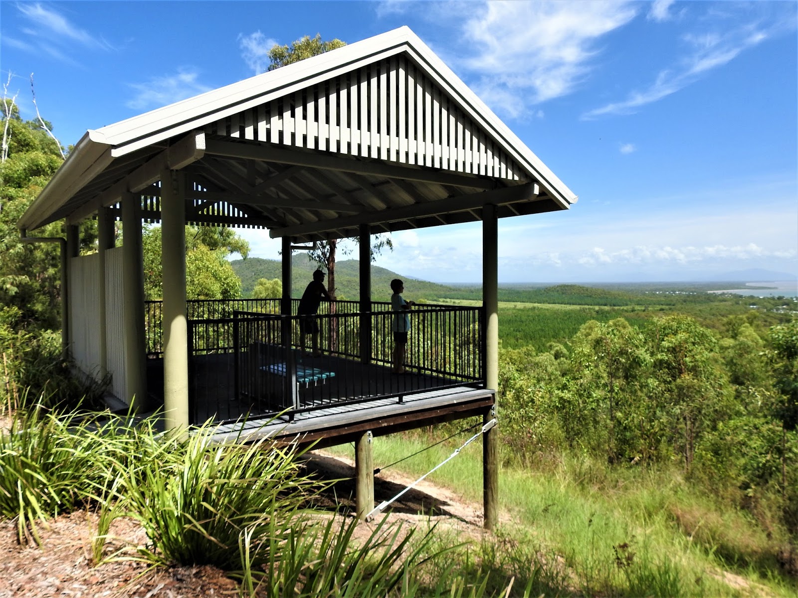 Ocean Crave: Cardwell's enchanted forest - Cardwell, North Queensland