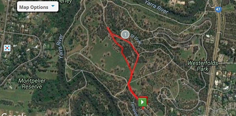 TRACKS, TRAILS AND COASTS NEAR MELBOURNE : Westerfolds' Park - western area