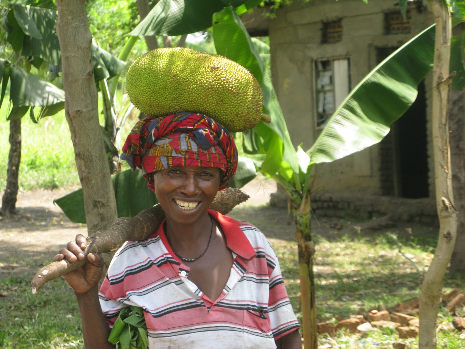 Dan in Malawi and Uganda: Bwera