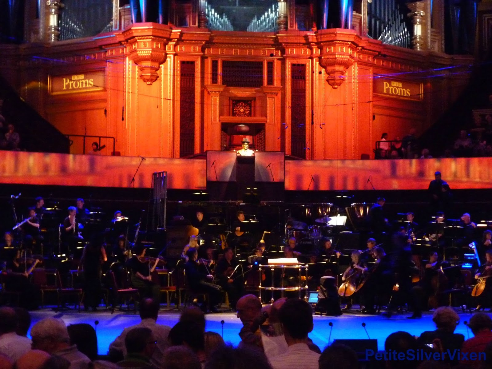 Physics, Fashion & Fiddler on the Roof - Petite Silver Vixen