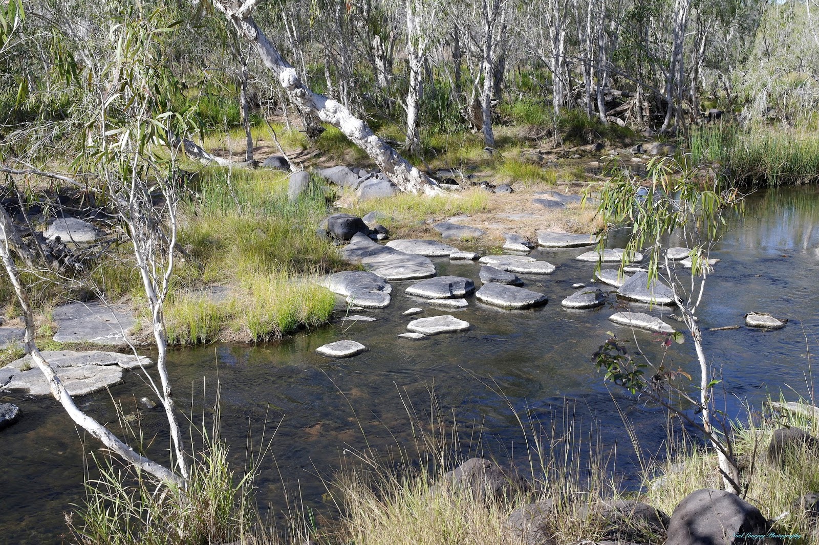 Can Go Around Australia: MT Surprise