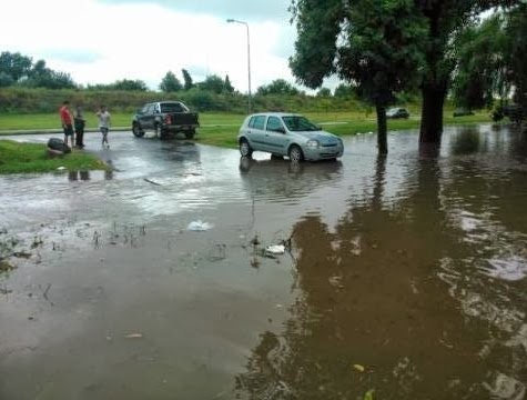 LA GENERACIÓN SIGUIENTE: [FOTOS] El Tigre de Sergio Massa, todo ...