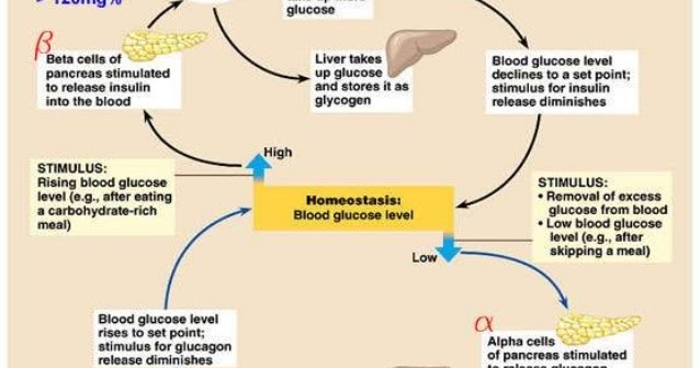 WHAT IS SUGAR DISEASE?