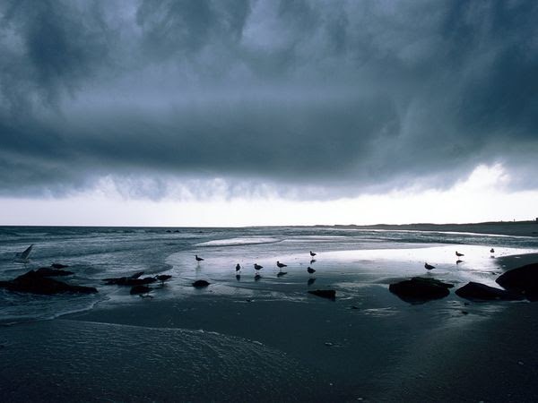 Cary Wingo's Journal: Photographer 9- Amy Toensing