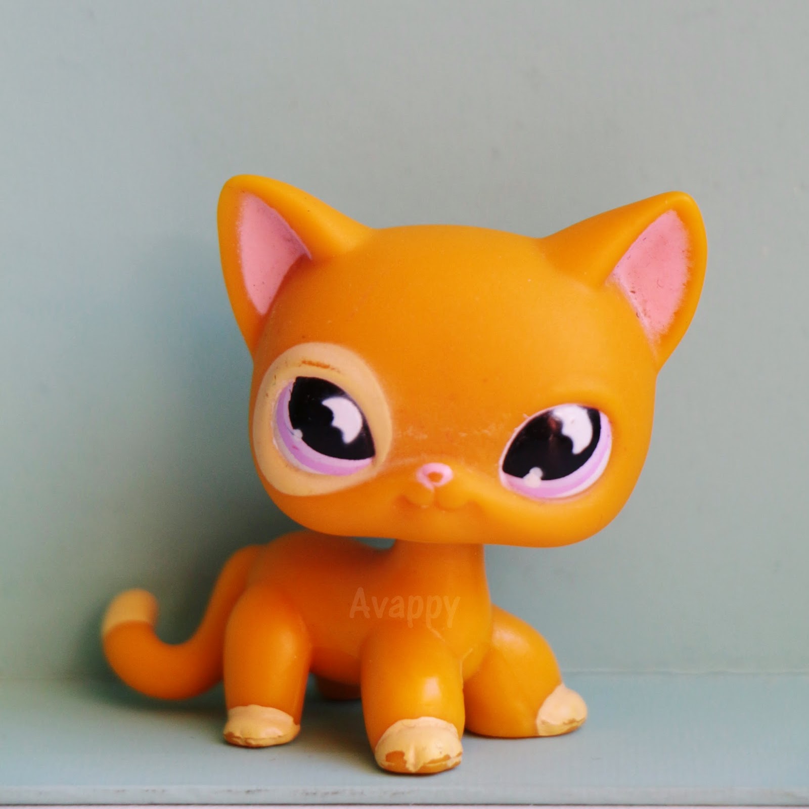 image de chat lps - Image De
