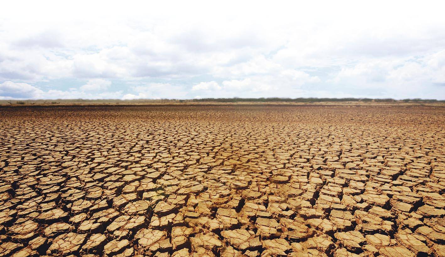 Echilibre şi dezechilibre naturale: Seceta