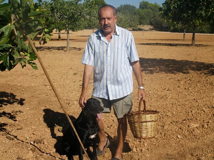 Figs Photo Collection Around the World: SON MUT NOU : Montserrat Pons ...