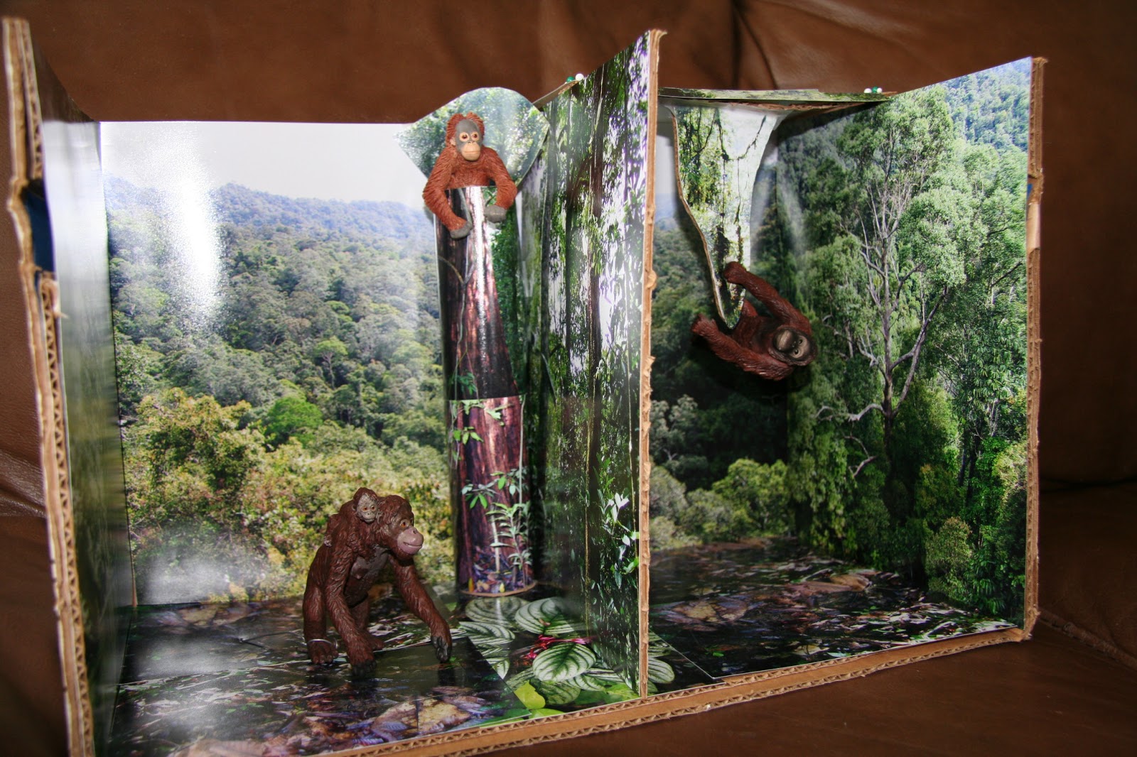 Beit Emmett: Tropical Habitats