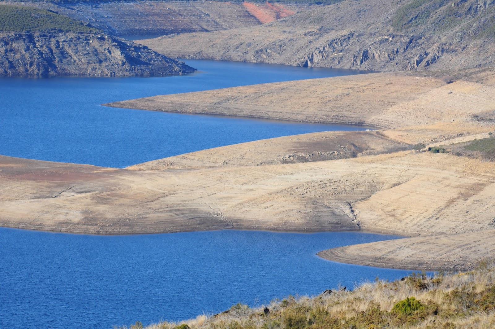 Verín Natural: Censo ibérico de Aguia peixeira invernante 2019