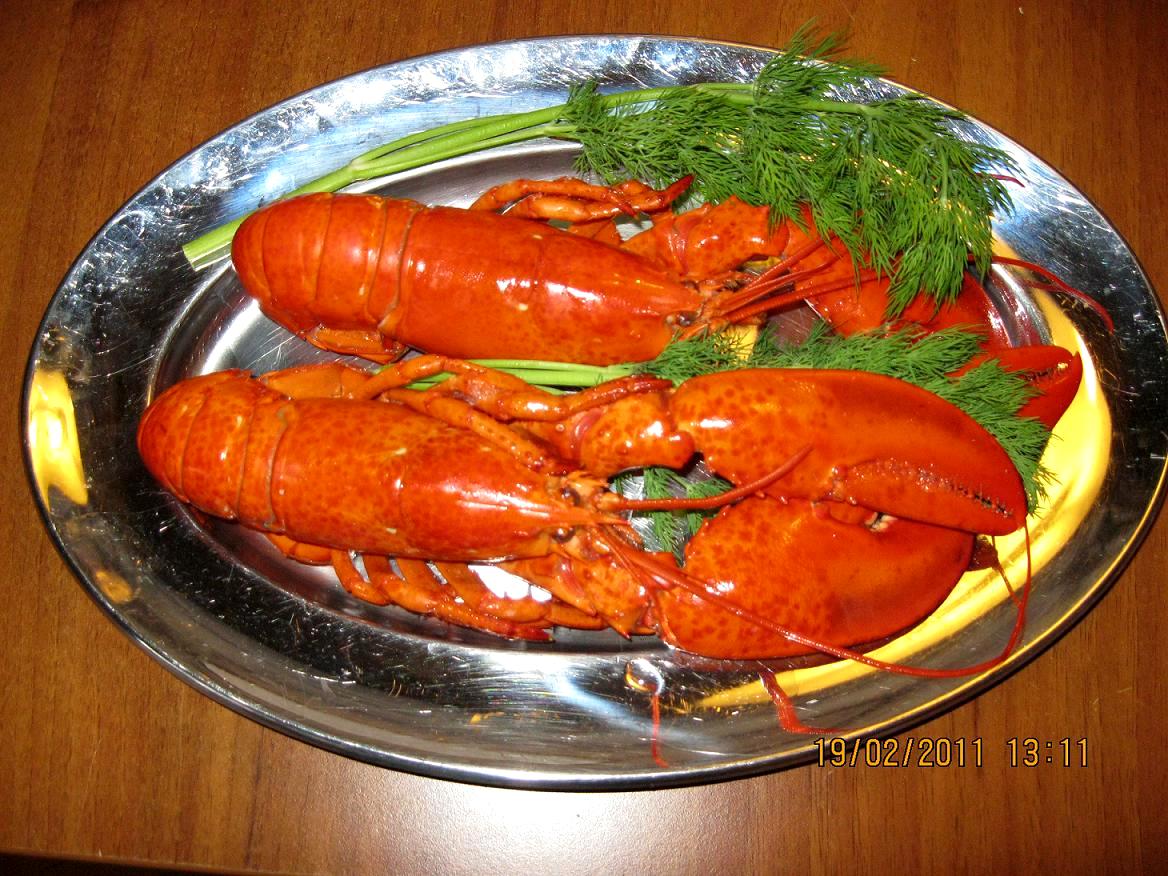 Rune Matomanen - Matälskare: Herrklubbens Gratinerade Hummer - Recept