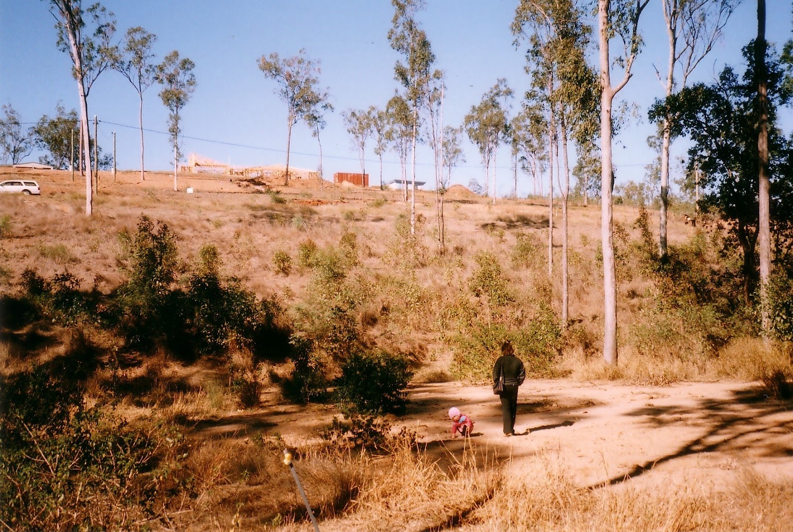 Gully Grove: Natural sequence farming