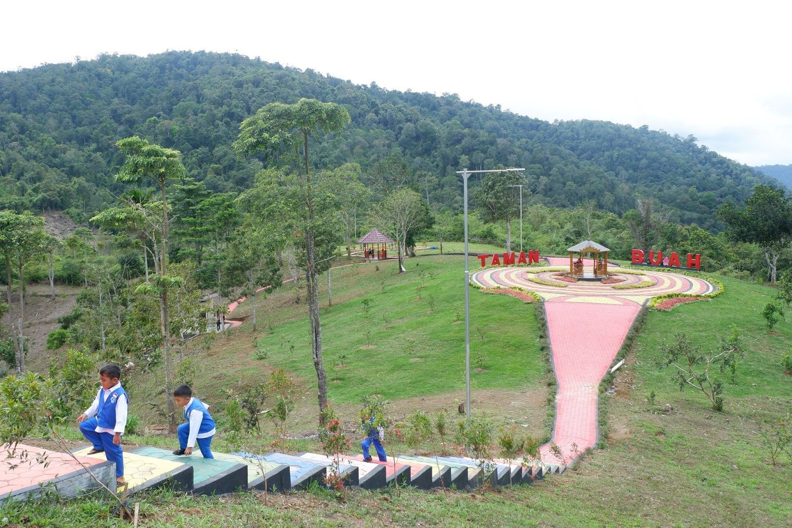USAI PENANTIAN 10 TAHUN, LAMPUNG RESMI MEMILIKI KEBUN RAYA LIWA ...