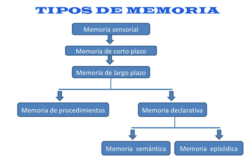 la memoria