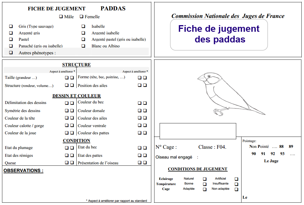 Le padda de java - Son comportement et ses caractéristiques