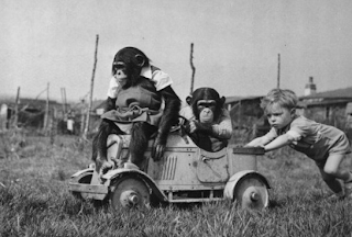 The Fun Bike Unicorn Club