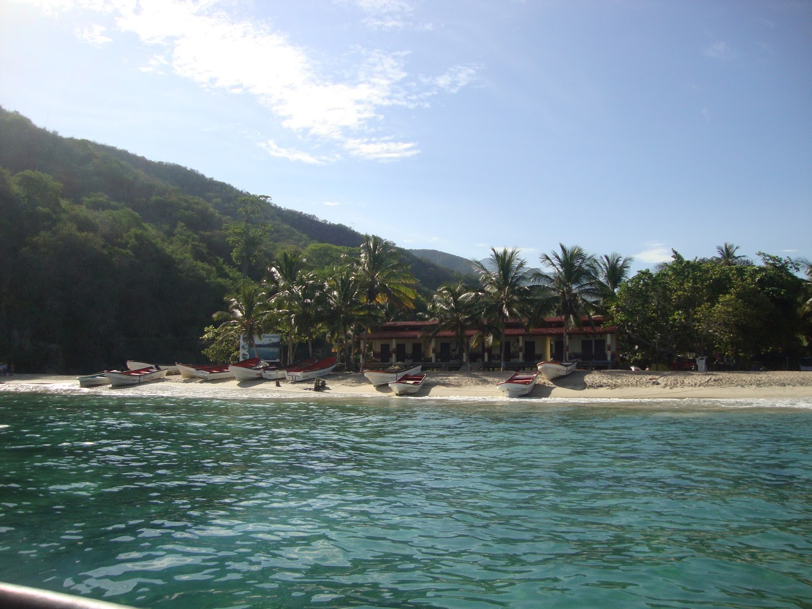 Cepe te enamora - Viajero de naturaleza