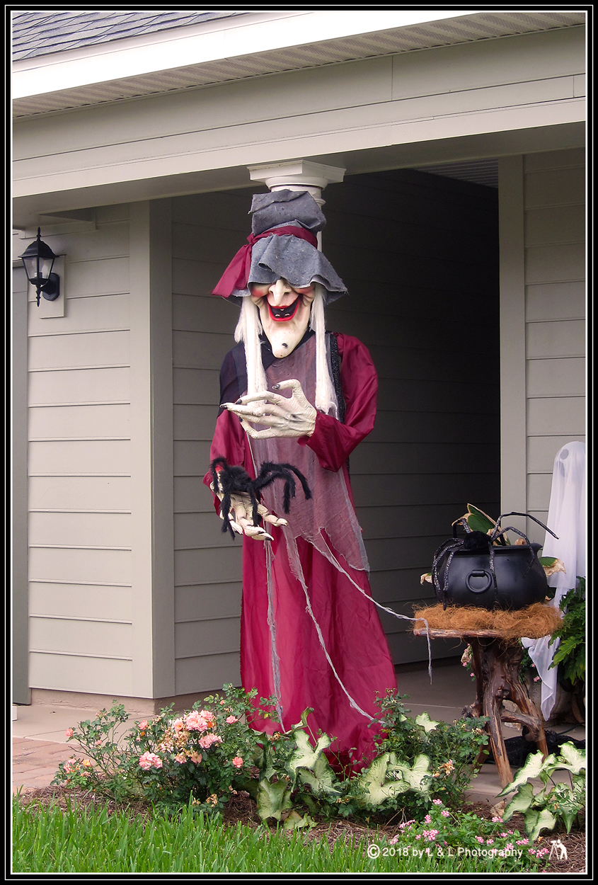 Ocala, Central Florida & Beyond: Ye Olde Witch