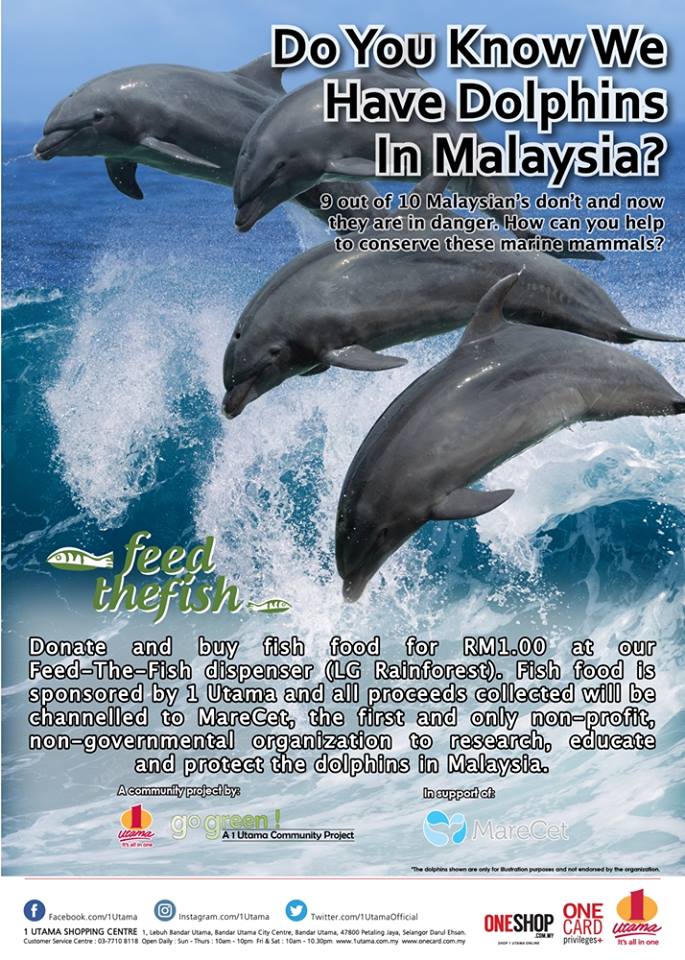 Plus Size Kitten: Protecting Malaysian Dolphins