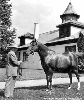 The Aspiring Equestrian: Whirlaway: Four-Year-Old Season