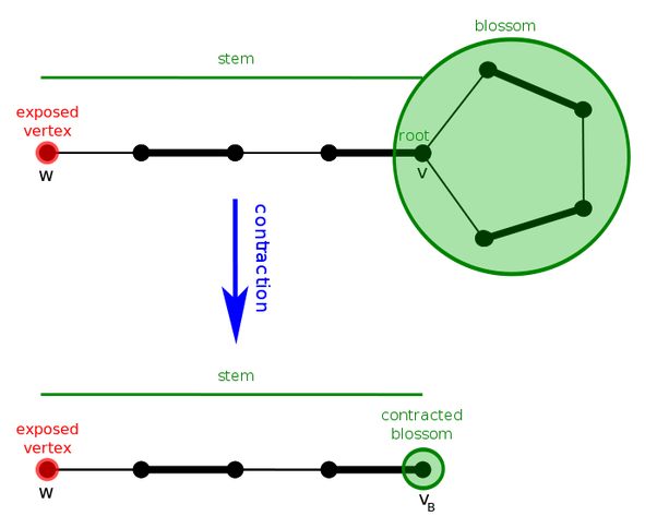 What is Blossom Algorithm - Explained - Code Cab