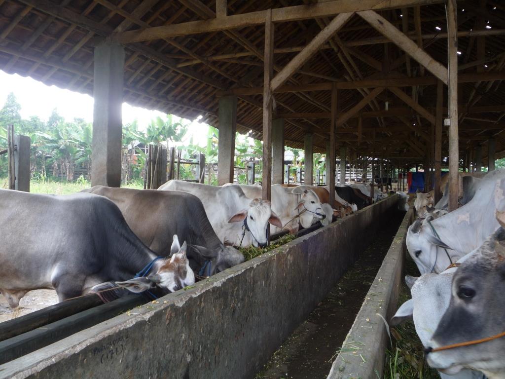 Suara Hati Nurani Anak Bangsa By: Frans Hero Kamsia Purba, B.Sc.Acct ...