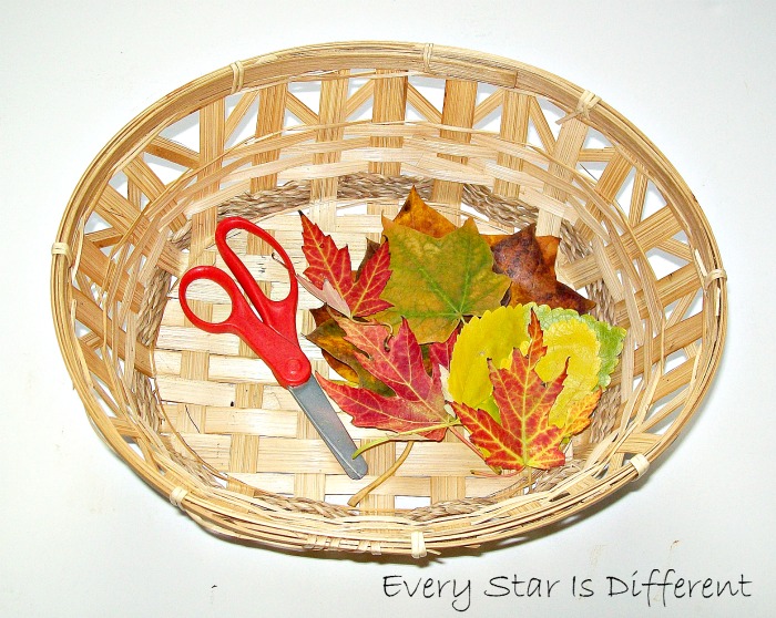 Autumn Leaves Unit with Free Printables - Every Star Is Different