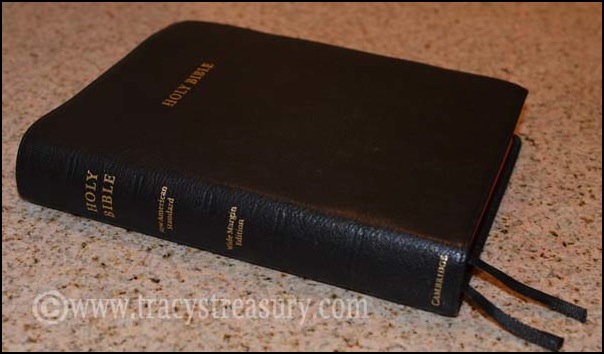 Tracy's Treasury: My Bible