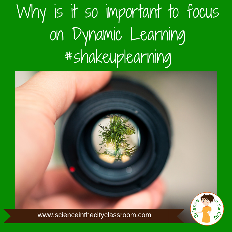 Why is it so important to Focus on Dynamic Learning? #shakeuplearning ...