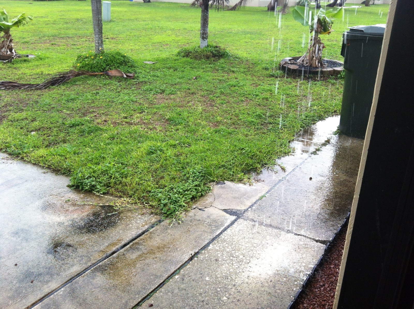 Notes From the Guam Side: Guam in the Winter