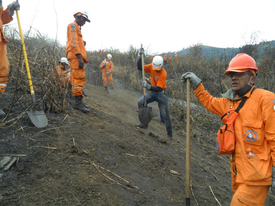 DEFENSA CIVIL SECCIONAL VALLE DEL CAUCA: Curso de Bombero Forestal