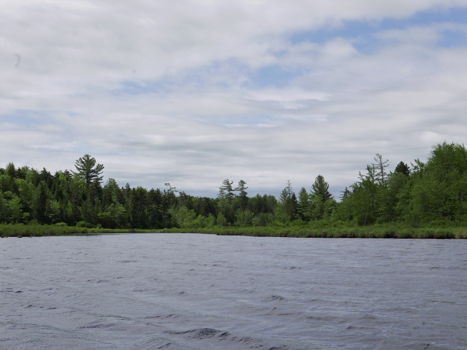 A Little Wild: Little Tupper Lake and Owls Head; Long Lake Favorites