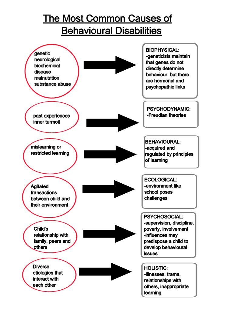 Introduction to Exceptionalities: Behavioural Exceptionalities