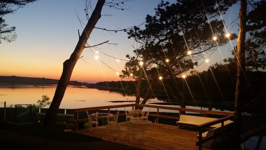 Cuéntame algo que no sepa: Avril en la ría.