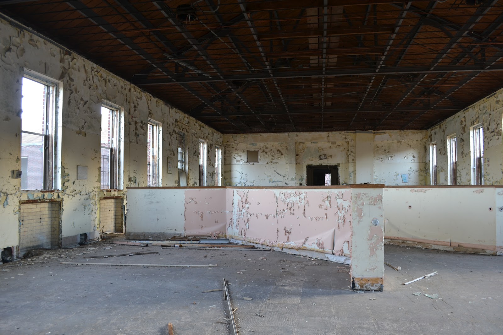 Rural Depression: Pilgrim Psychiatric Center