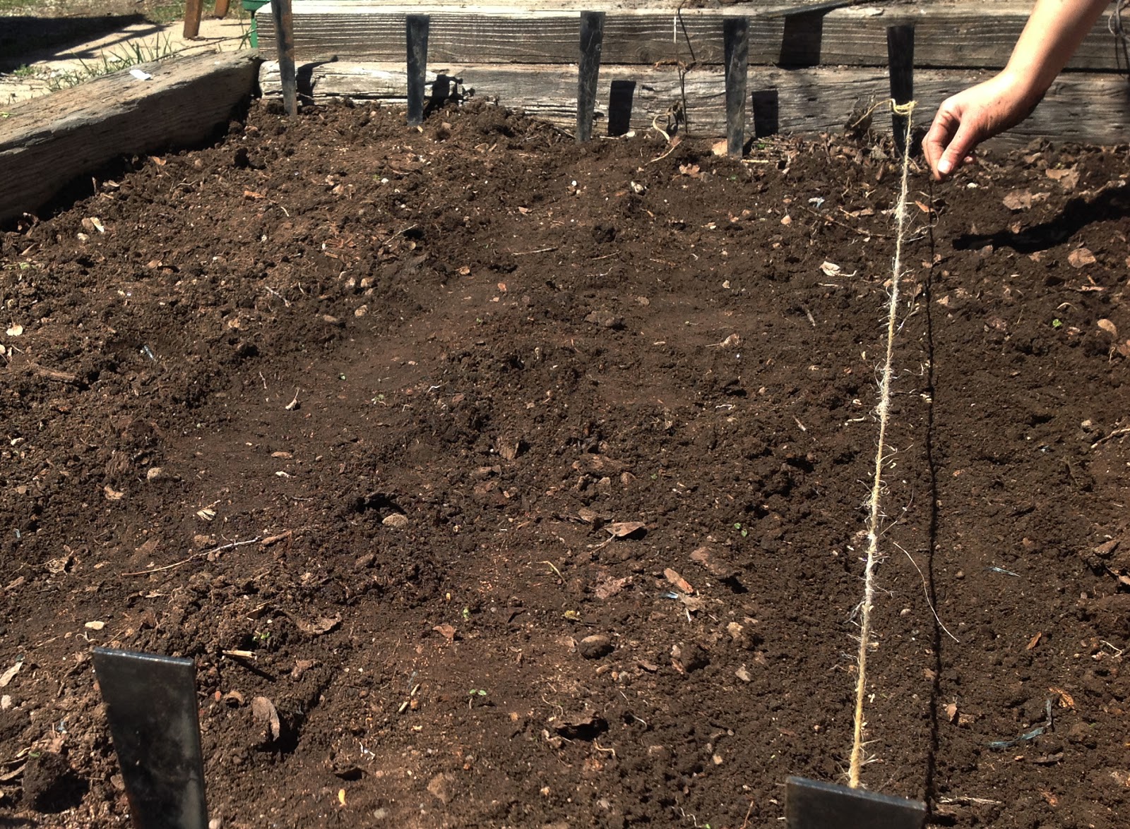 High Elevation Gardening: Week Five- Starting from Scratch: the ...