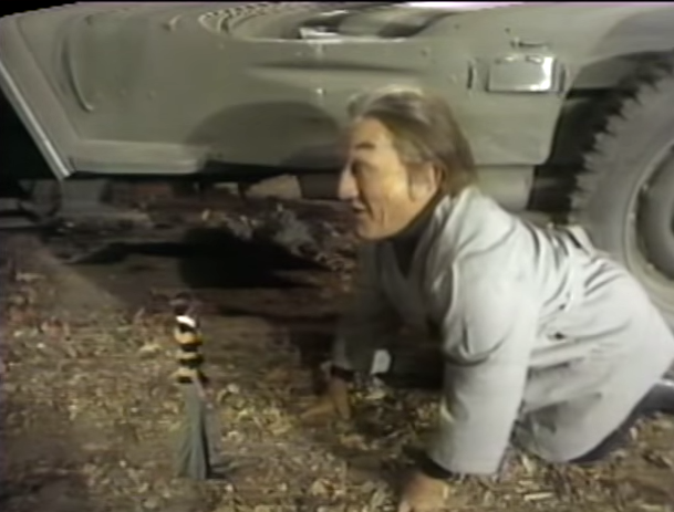 John Kenneth Muir's Reflections on Cult Movies and Classic TV: Saturday ...