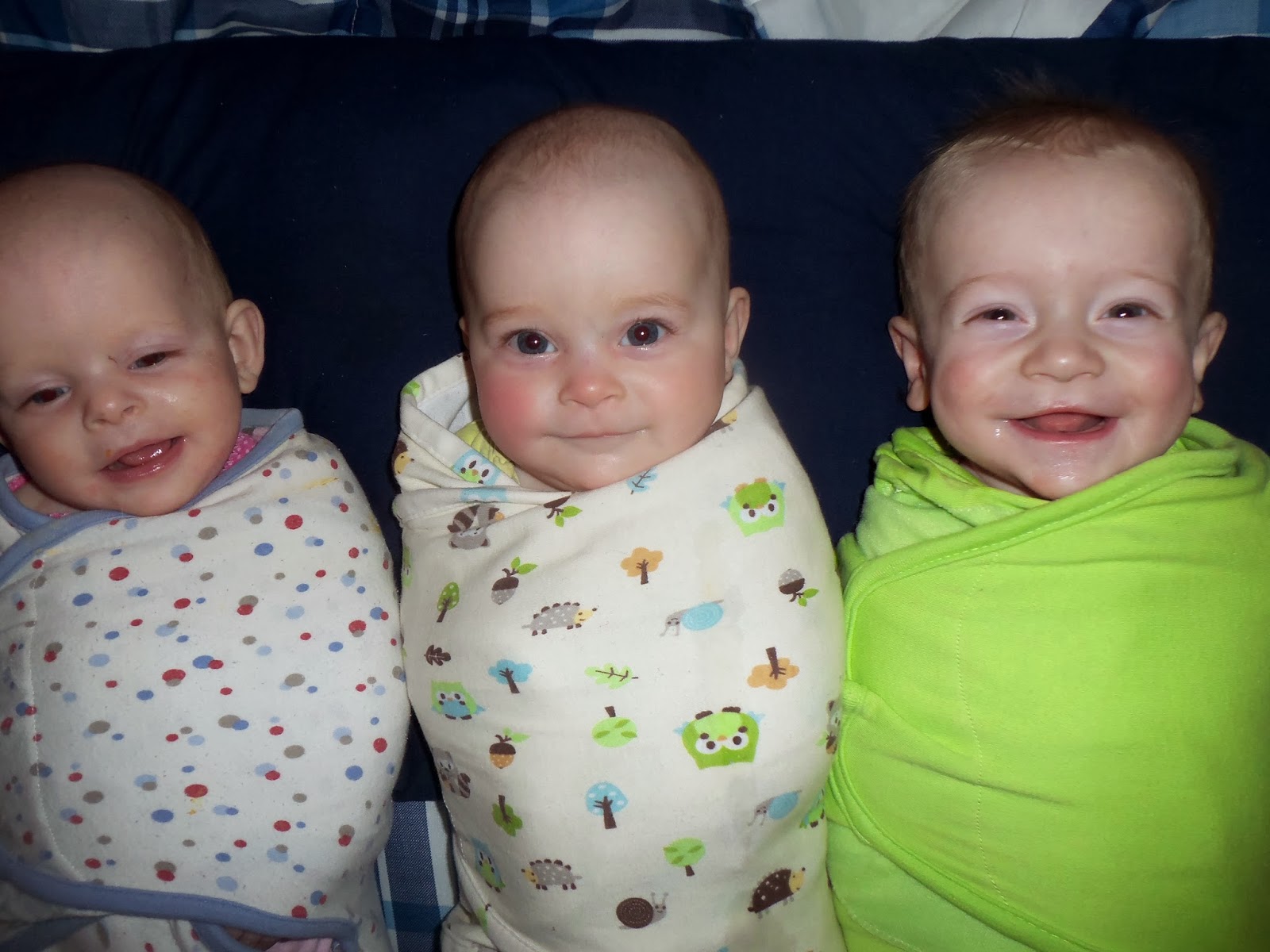 Triplets + Toddler: 6 Month Photos