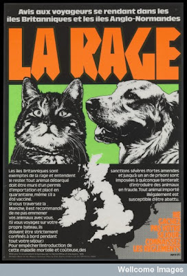 Item of the Month, August 2012: British rabies posters from the 1970s ...