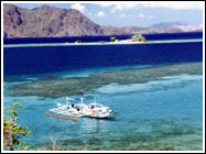 World Famous Wreck Diving: Coron Bay Palawan Philippines