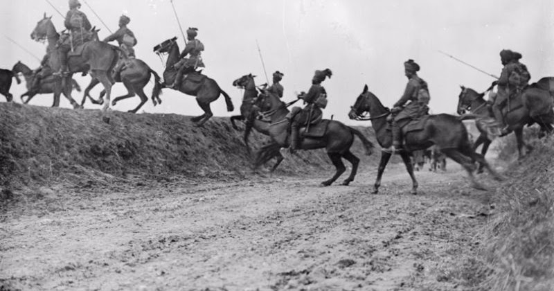 10 Ways Animals Have Helped the War Effort from World War I & II ...