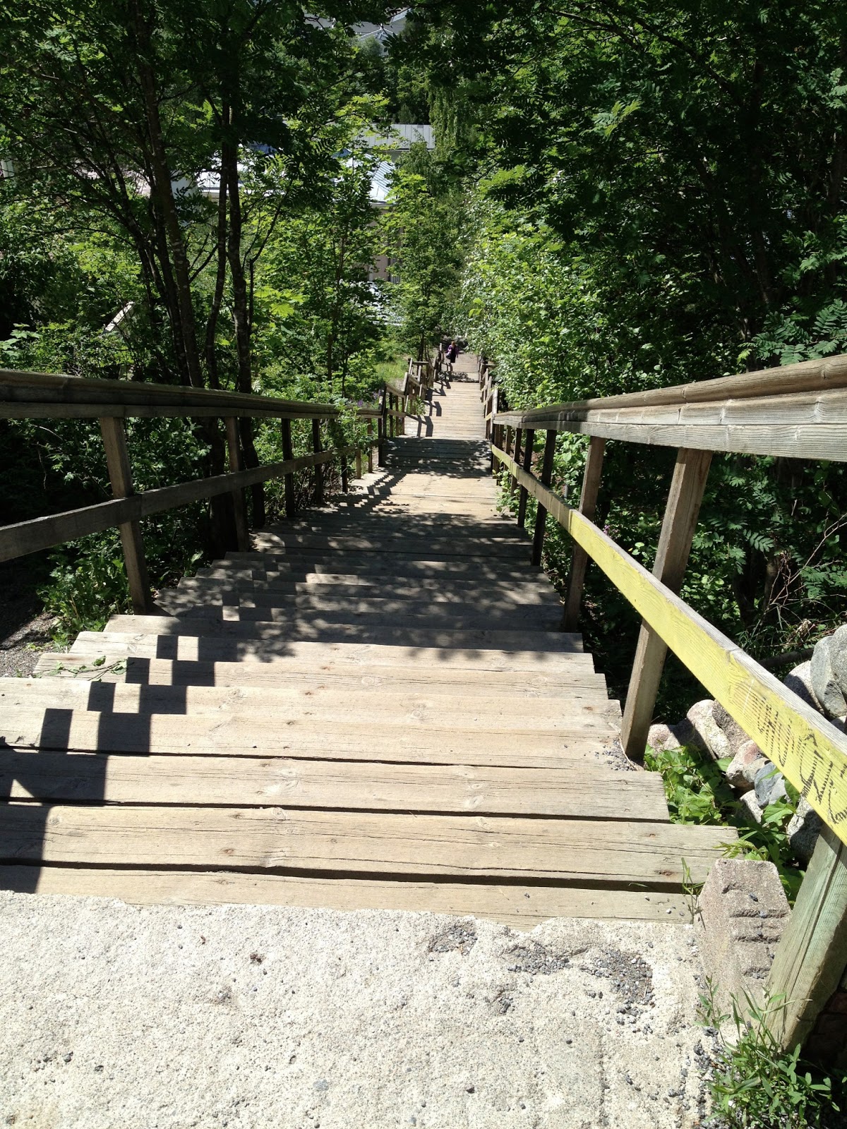 Kahvakuula kainalossa: Pispalan portaissa