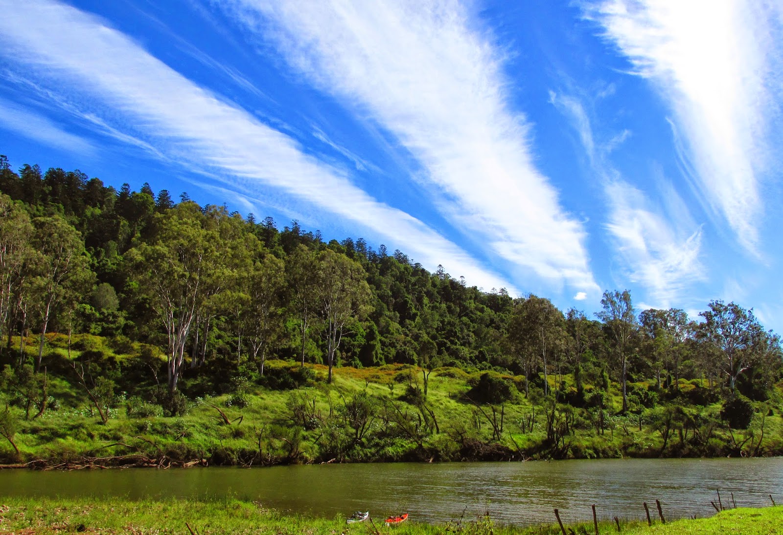 Blue Water Paddling: Kayaking from Fernvale to Kholo Road Bridge