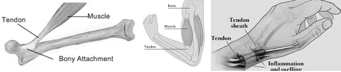 Pendidikan Dan Pembelajaran: August 2018