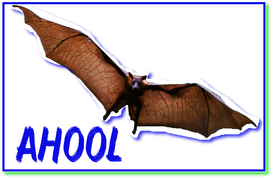 The Crypto Files - The Ahool ~ The Crypto Crew