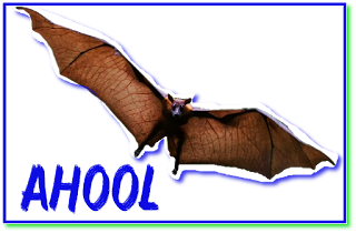 The Crypto Files - The Ahool ~ The Crypto Crew